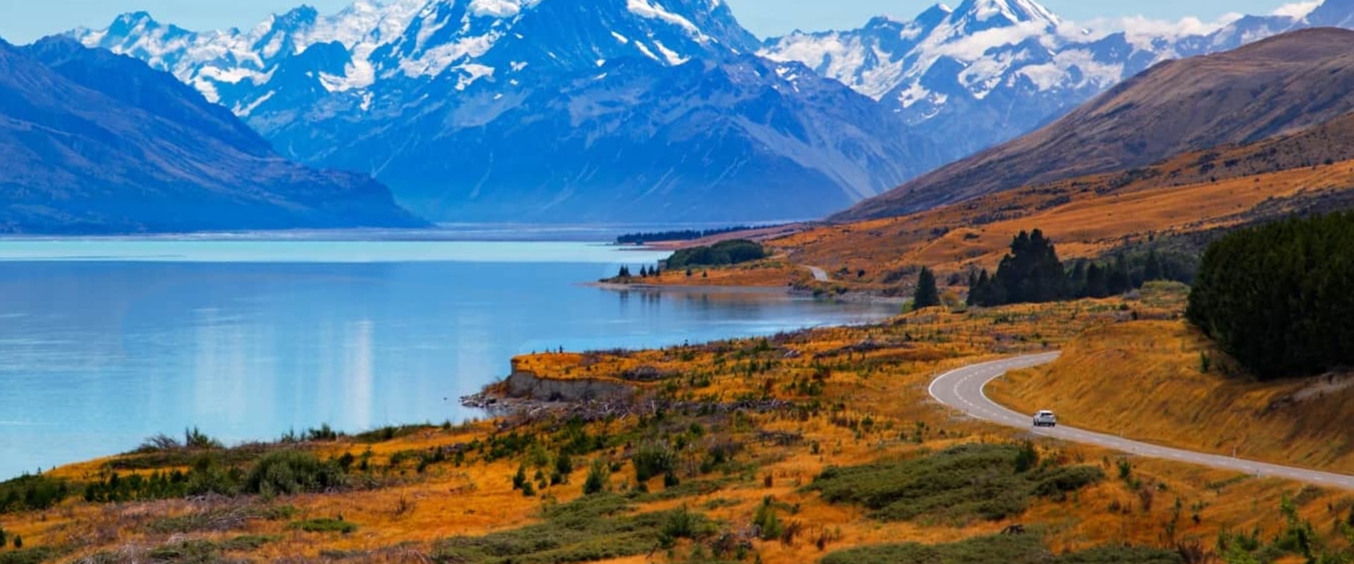 How to Effectively Review and Adjust Your Budget in New Zealand