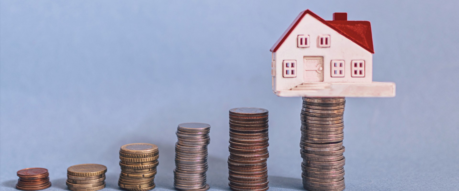 MoneyHub NZ: Your Comprehensive Guide to All Things Money in New Zealand